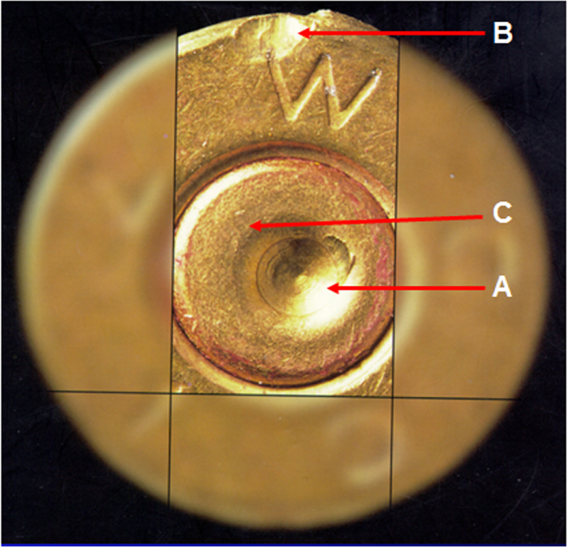 Topography measurements and applications in ballistics and tool mark ...