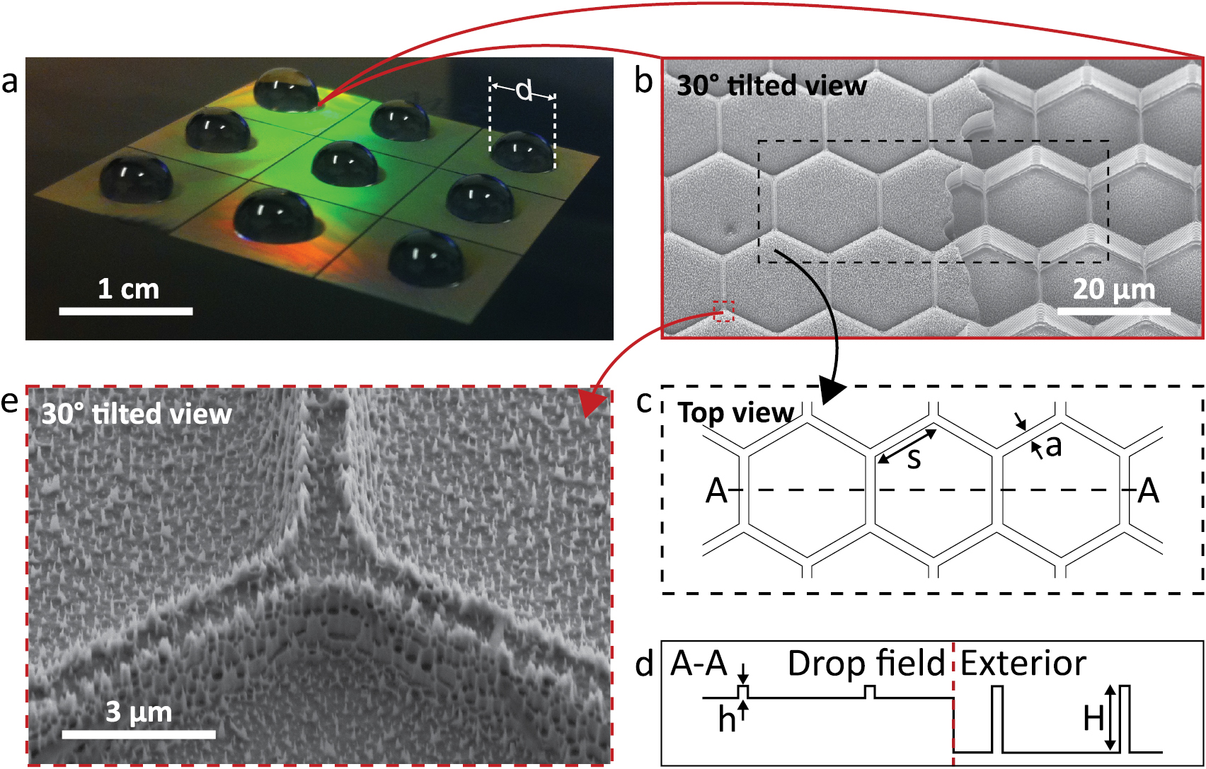 The rose petal effect and the role of advancing water contact angles ...