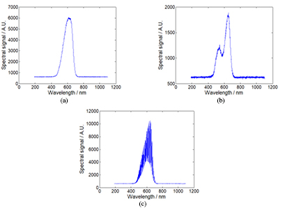 Single point Linnik white-light spectral microscopic interferometer for ...