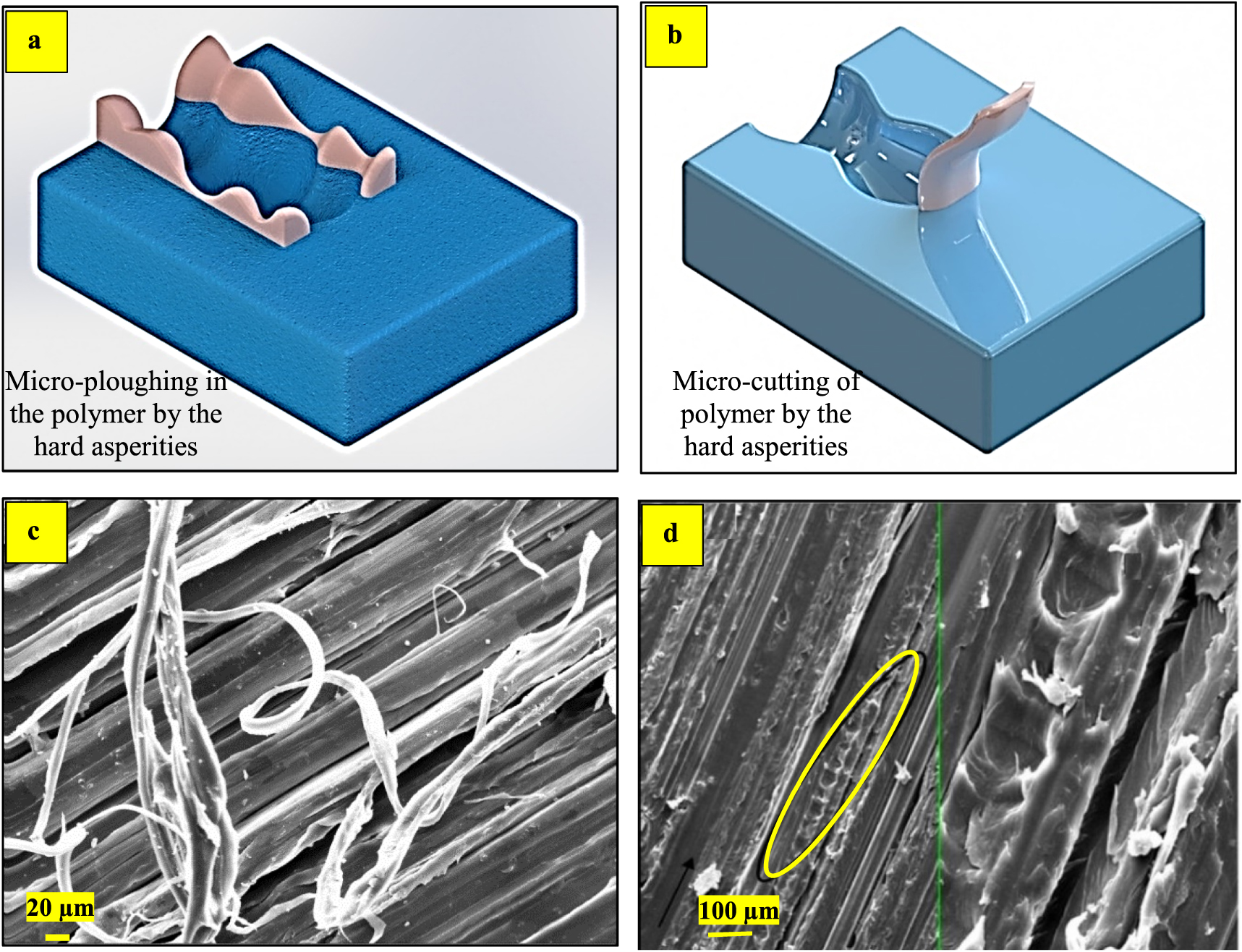 Surface topography modification, Film transfer and Wear mechanism for ...