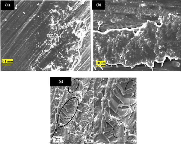 Surface topography modification, Film transfer and Wear mechanism for ...