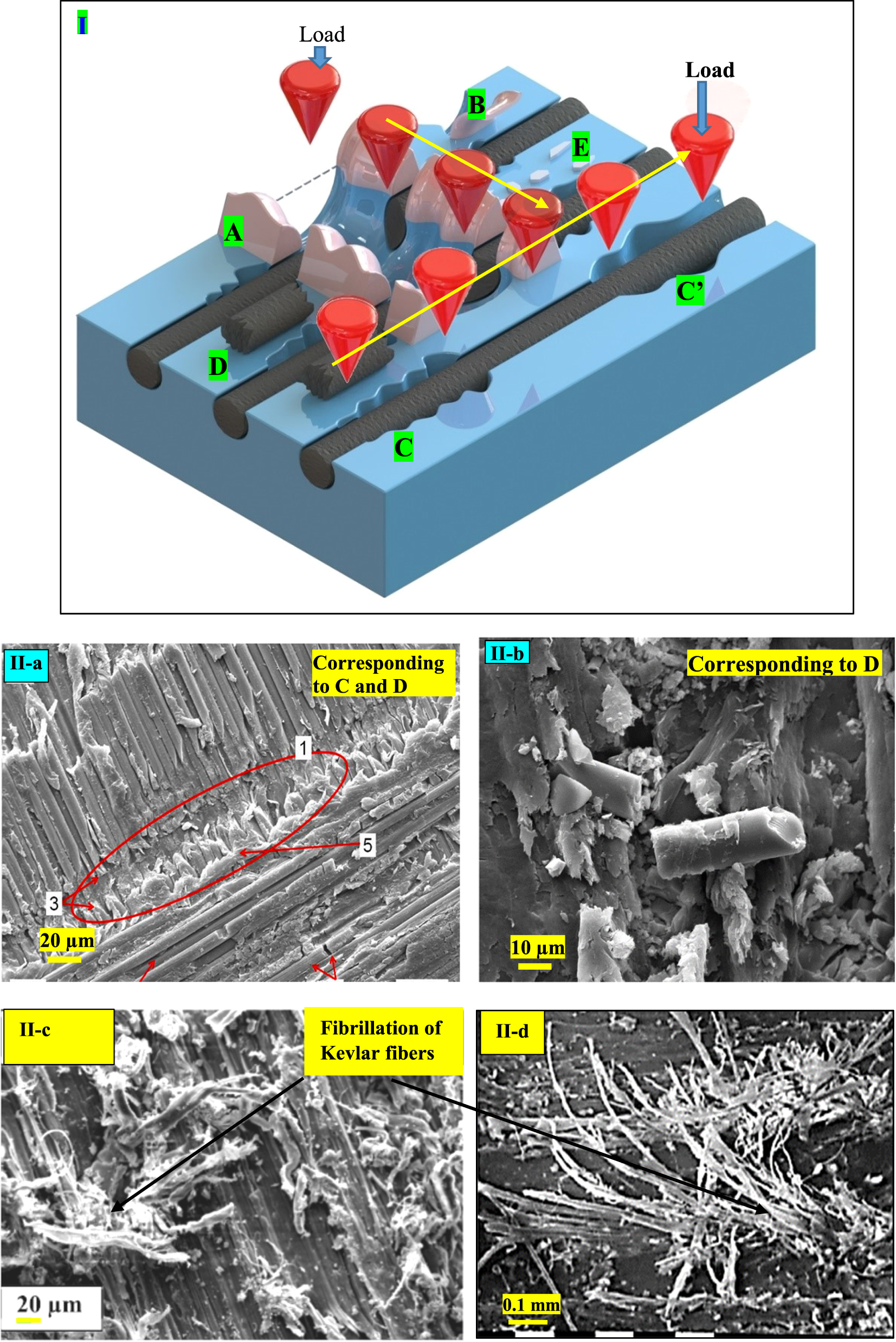 Surface topography modification, Film transfer and Wear mechanism for ...