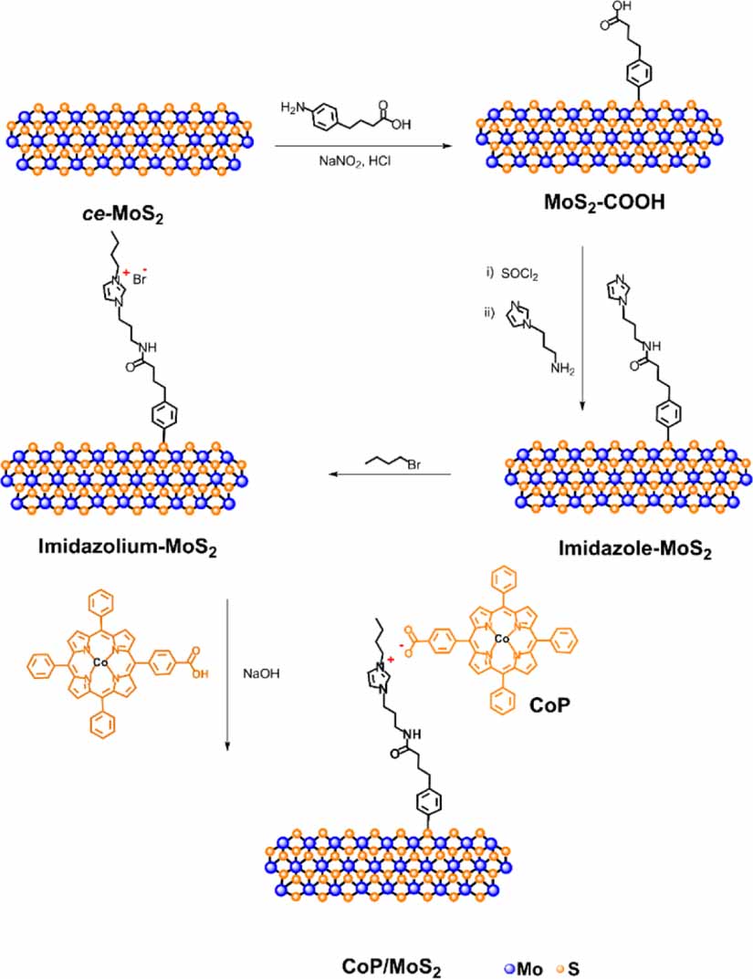 Cobalt porphyrin/molybdenum disulfide nanoensembles for light-assisted ...