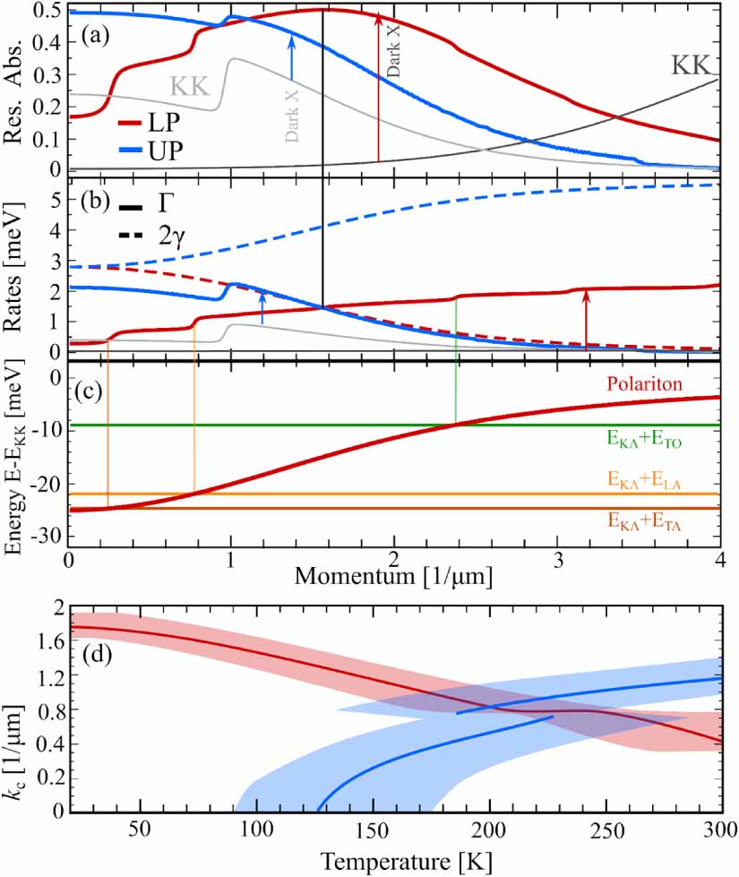 Signatures of dark excitons in exciton–polariton optics of transition metal dichalcogenides ...