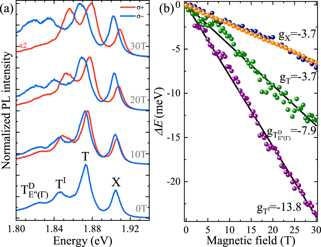 Excitons and trions in WSSe monolayers - IOPscience
