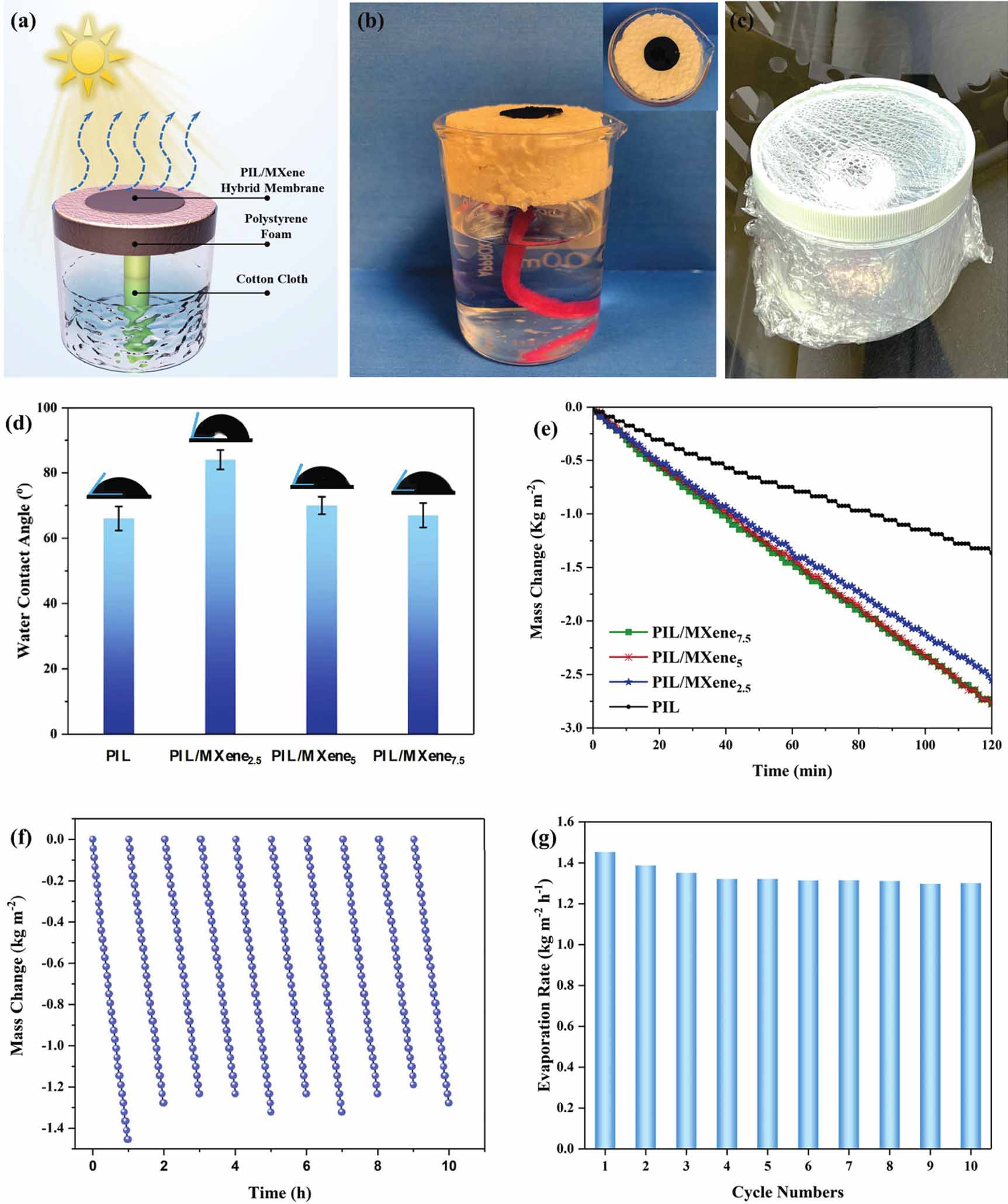 MXene/poly(ionic liquid) porous composite membranes for systematized ...
