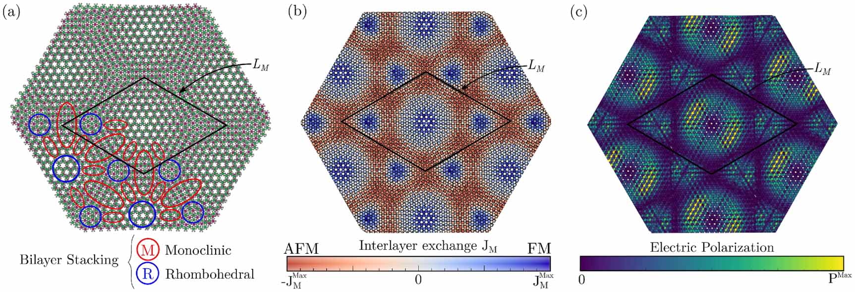 Moiré-driven multiferroic order in twisted CrCl3, CrBr3 and CrI3 ...
