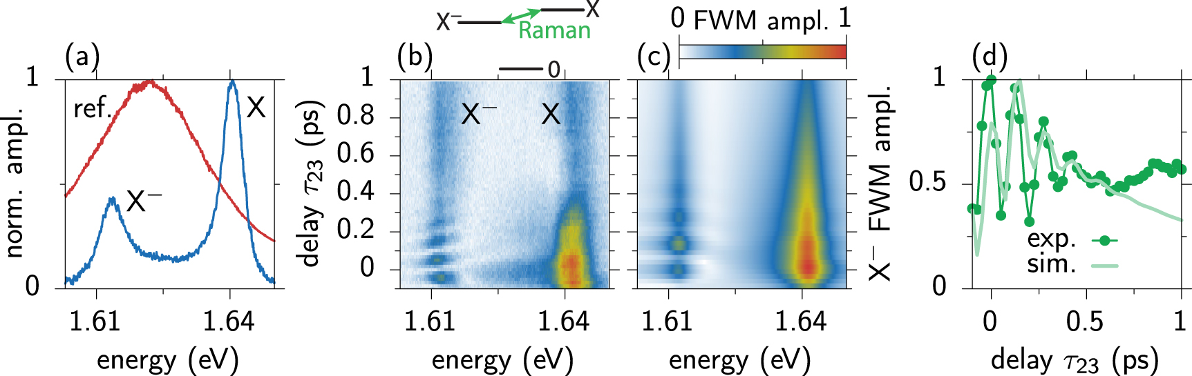 Controlled coherent-coupling and dynamics of exciton complexes in a MoSe2 monolayer - IOPscience