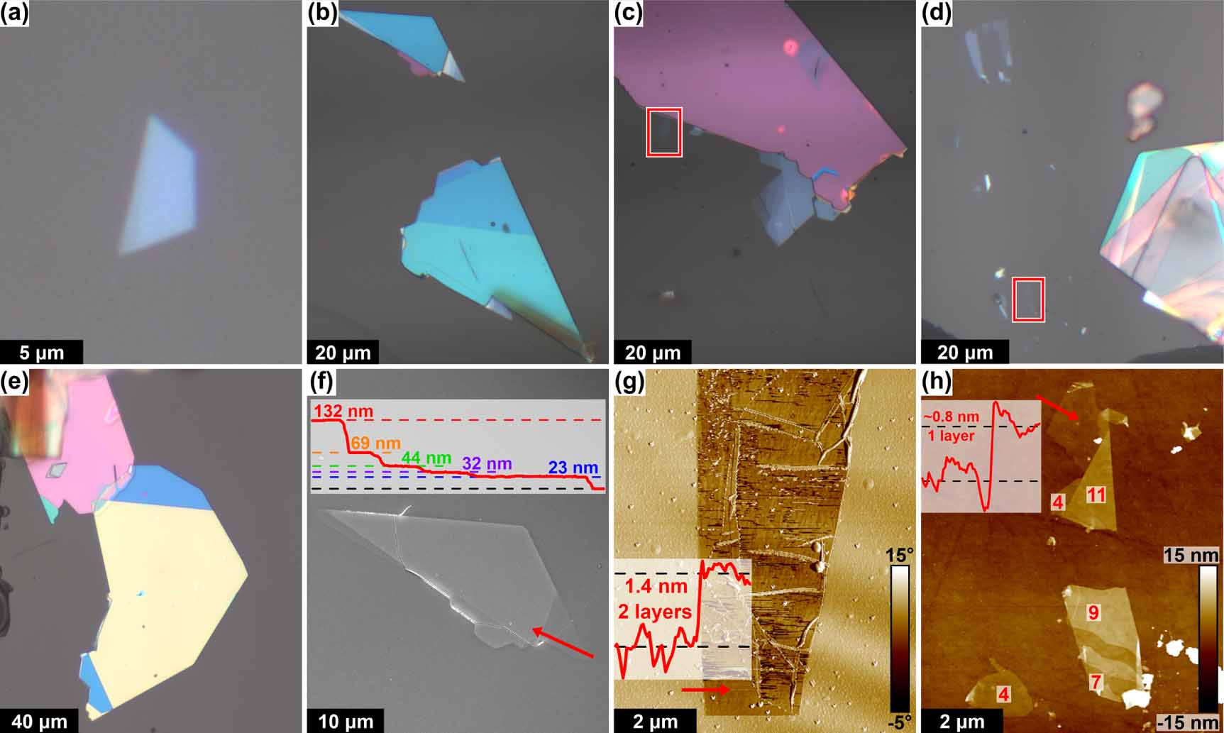 Understanding the chemistry of 2D rhodium trihalide solid solutions ...