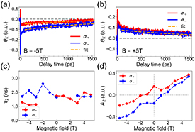 Magnetic field control of light-induced spin accumulation in monolayer ...