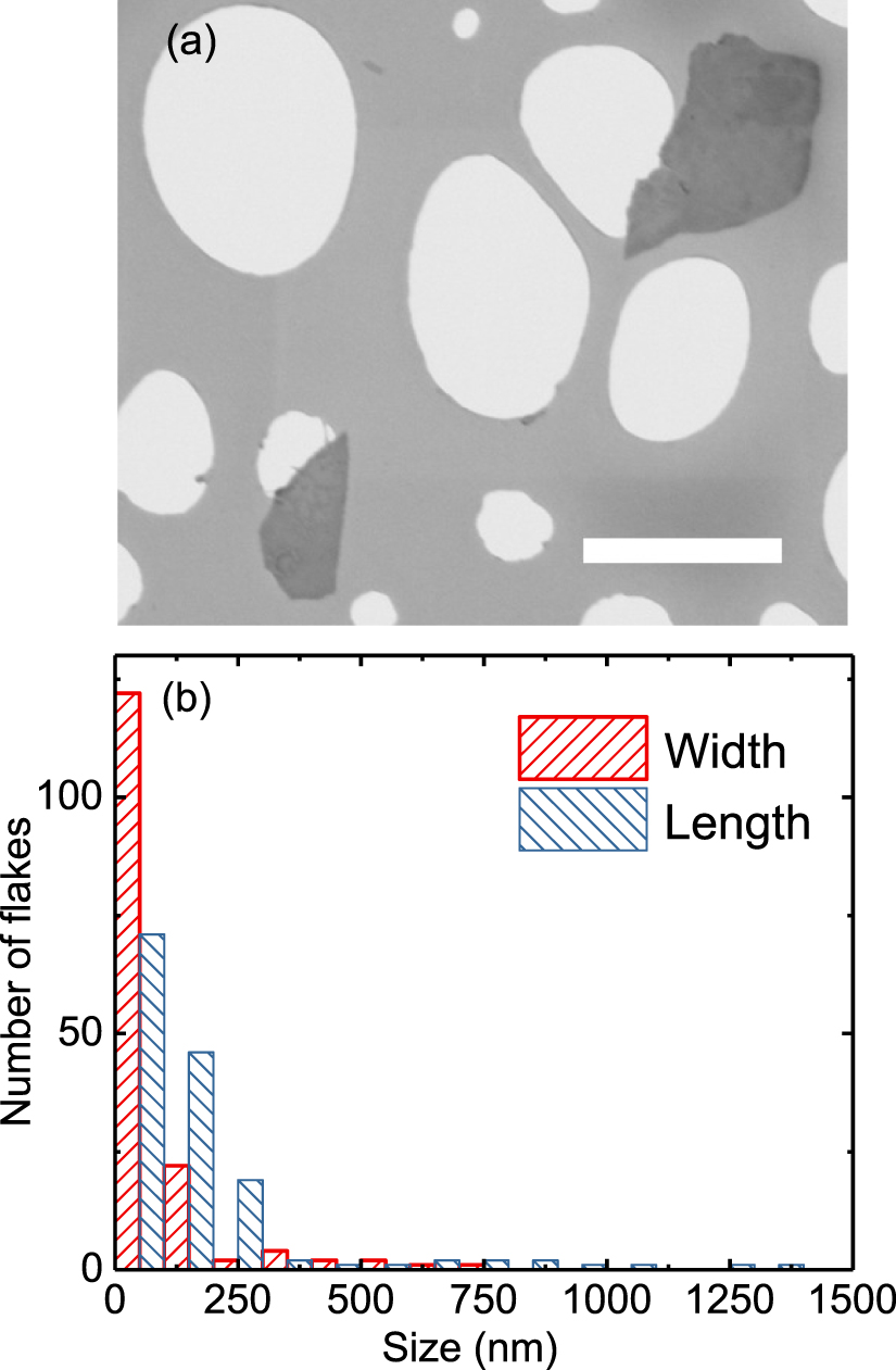 Graphene-black phosphorus printed photodetectors - IOPscience