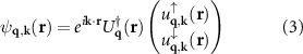 Type II multiferroic order in two-dimensional transition metal halides ...