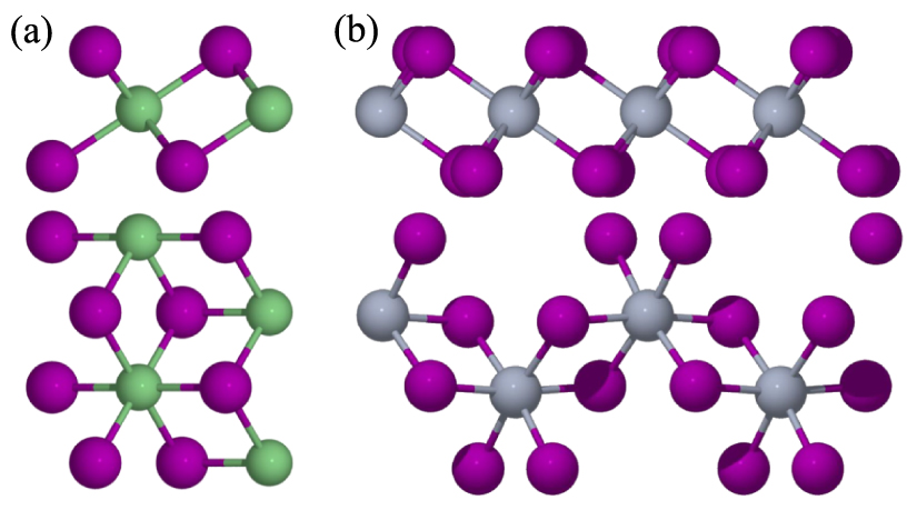 Type II multiferroic order in two-dimensional transition metal halides ...