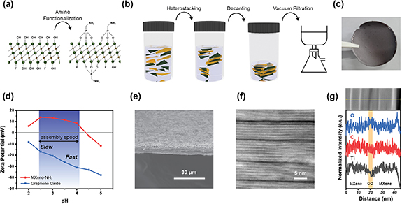 Maximized internal scattering in heterostack Ti3C2T x MXene/graphene ...