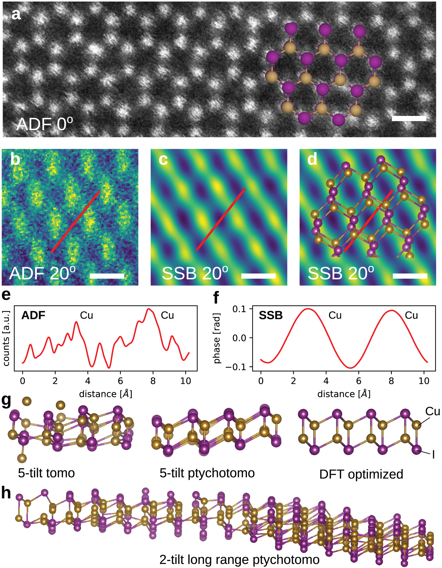Picometer-precision few-tilt ptychotomography of 2D materials - IOPscience