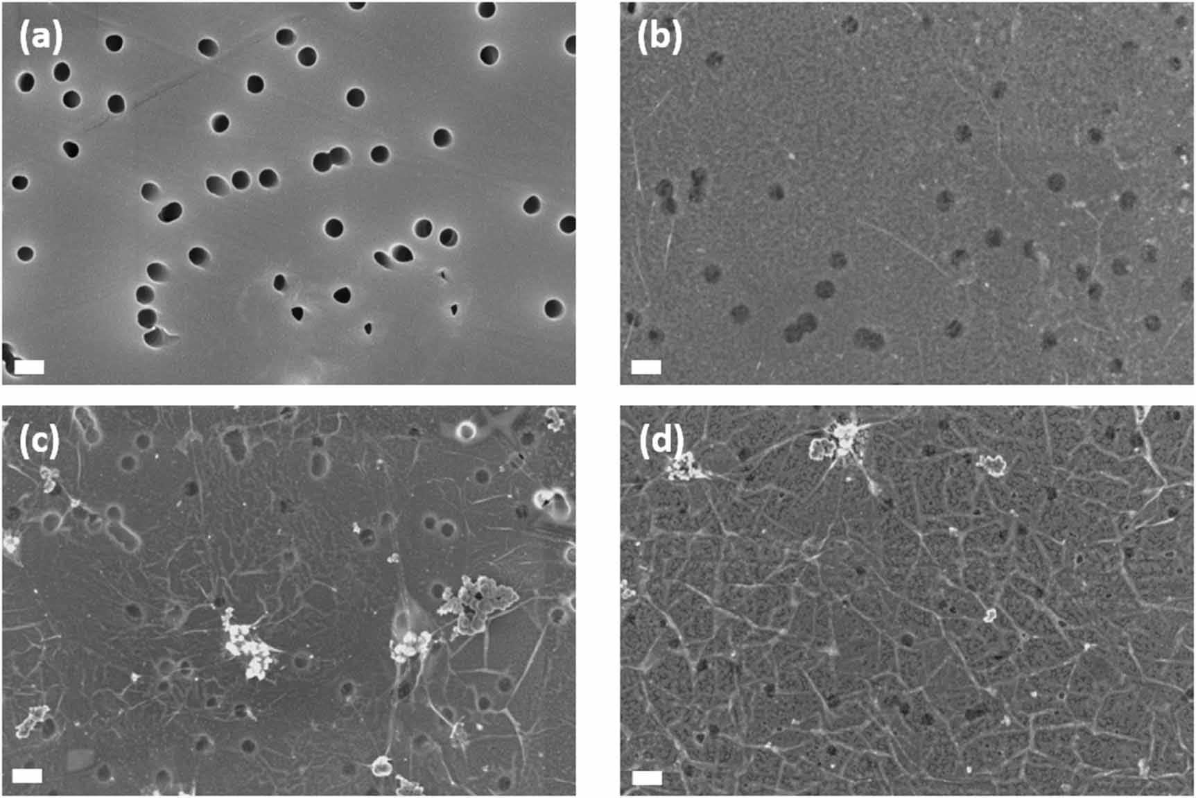 High rejection stacked single-layer graphene membranes for water ...
