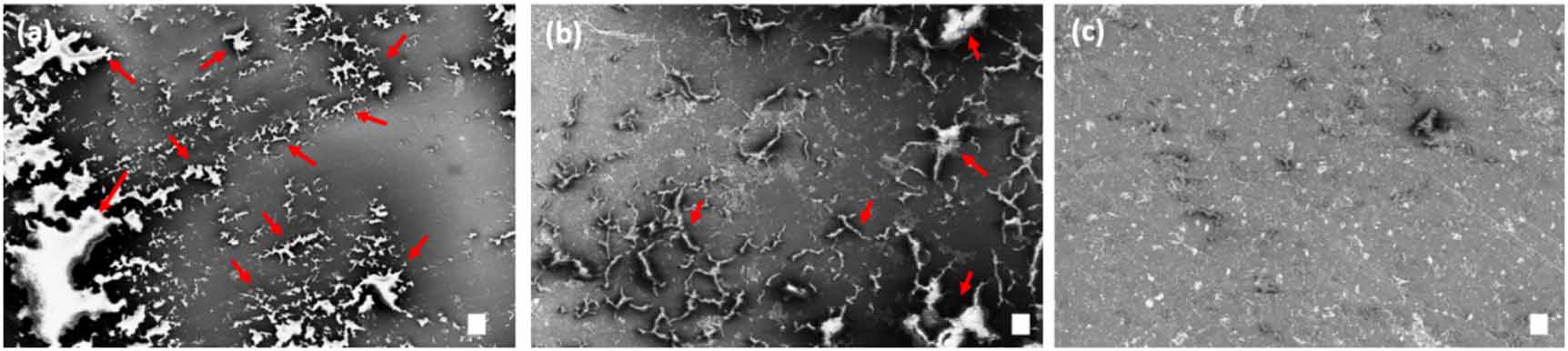 High rejection stacked single-layer graphene membranes for water ...