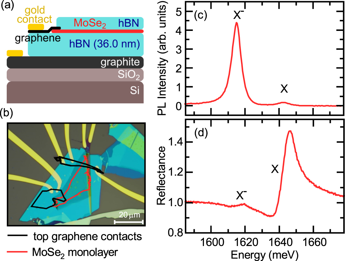 Enhancement of electron magnetic susceptibility due to many-body ...