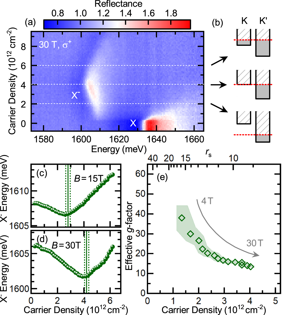 Enhancement of electron magnetic susceptibility due to many-body ...