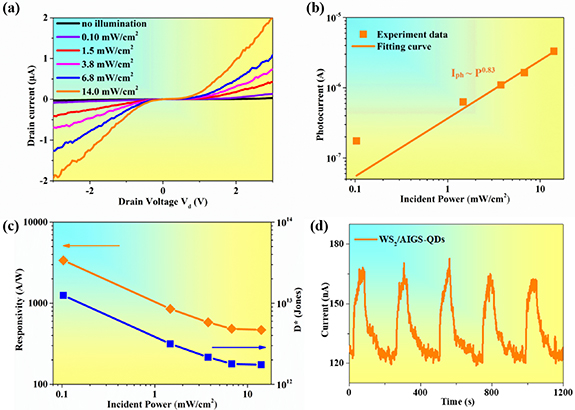Ultrasensitive photodetector based on 2D WS2/AgInGaS quantum dots ...