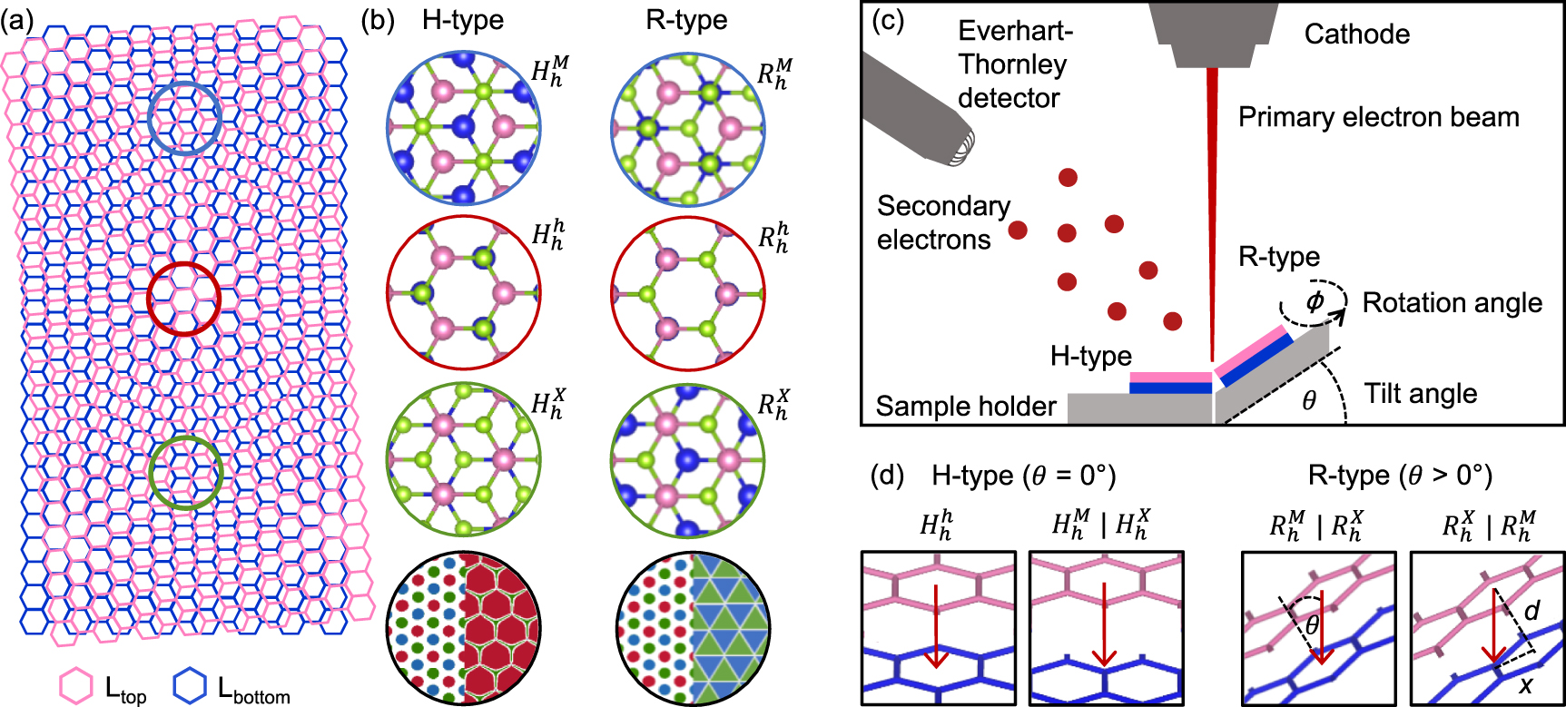 Imaging lattice reconstruction in homobilayers and heterobilayers of ...