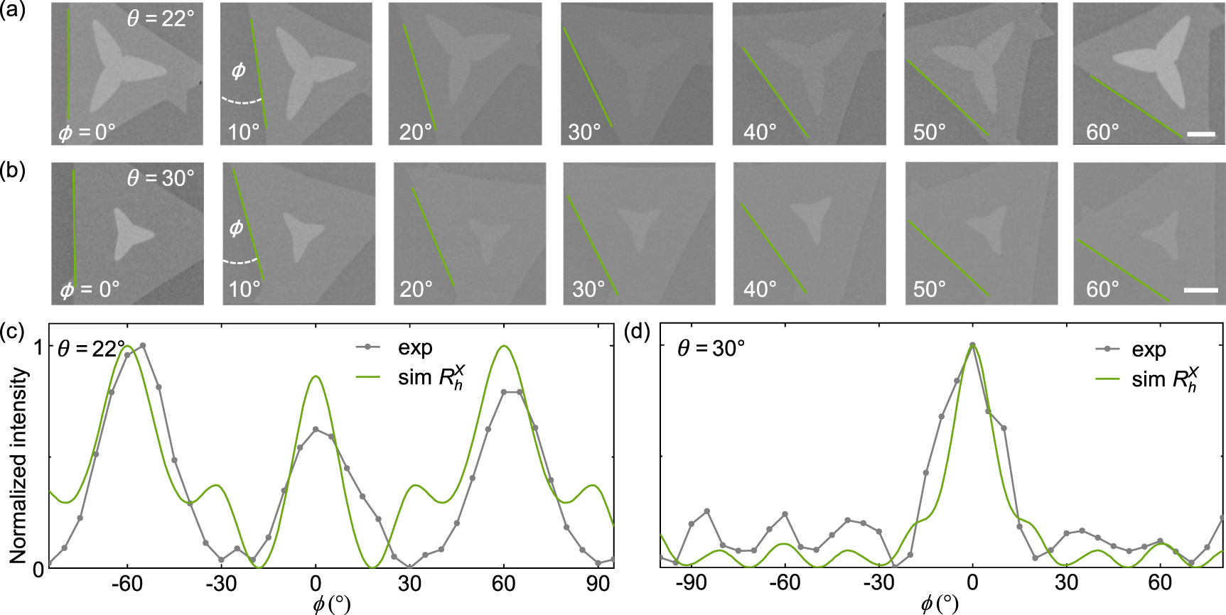 Imaging lattice reconstruction in homobilayers and heterobilayers of ...