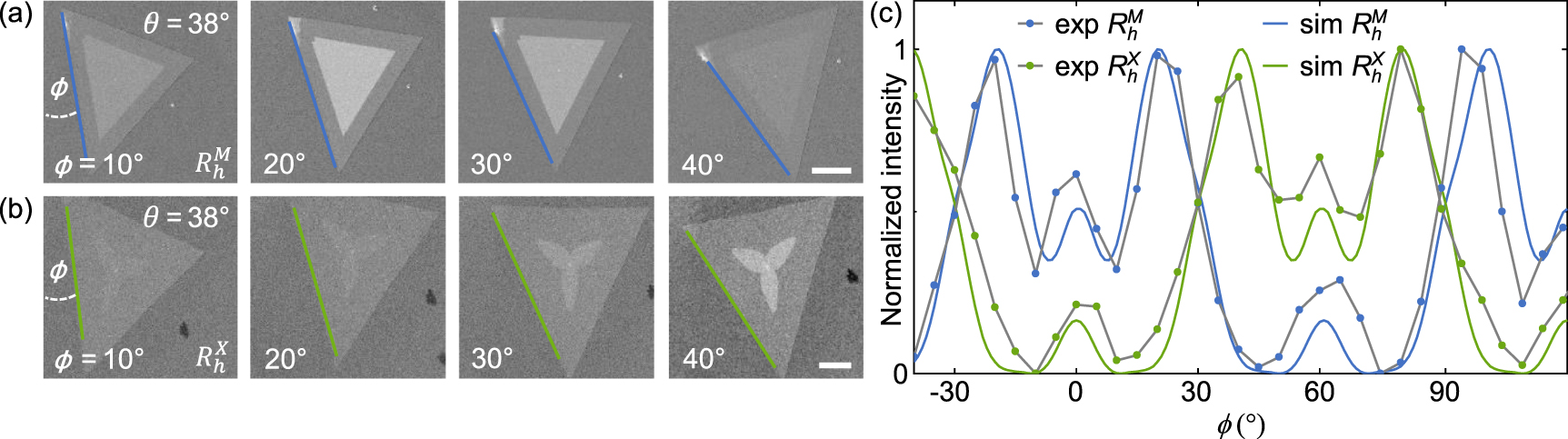 Imaging lattice reconstruction in homobilayers and heterobilayers of ...
