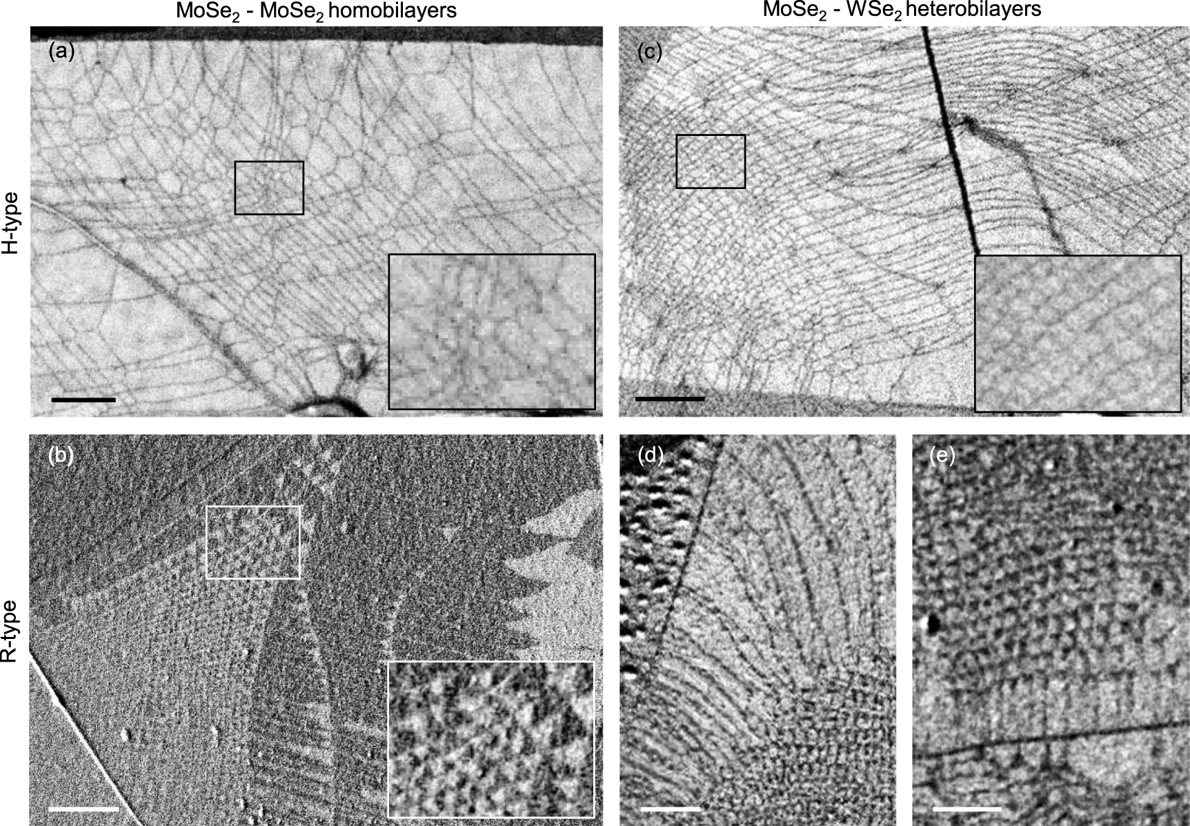 Imaging lattice reconstruction in homobilayers and heterobilayers of ...