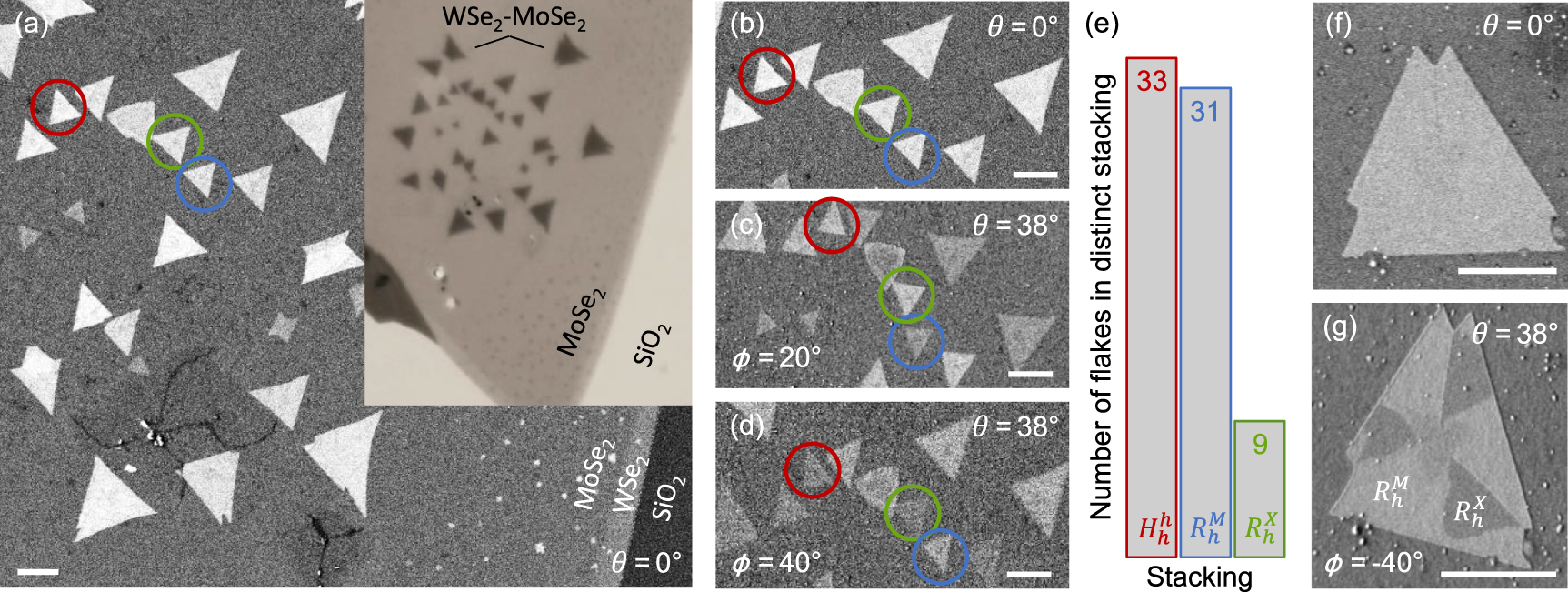 Imaging lattice reconstruction in homobilayers and heterobilayers of ...