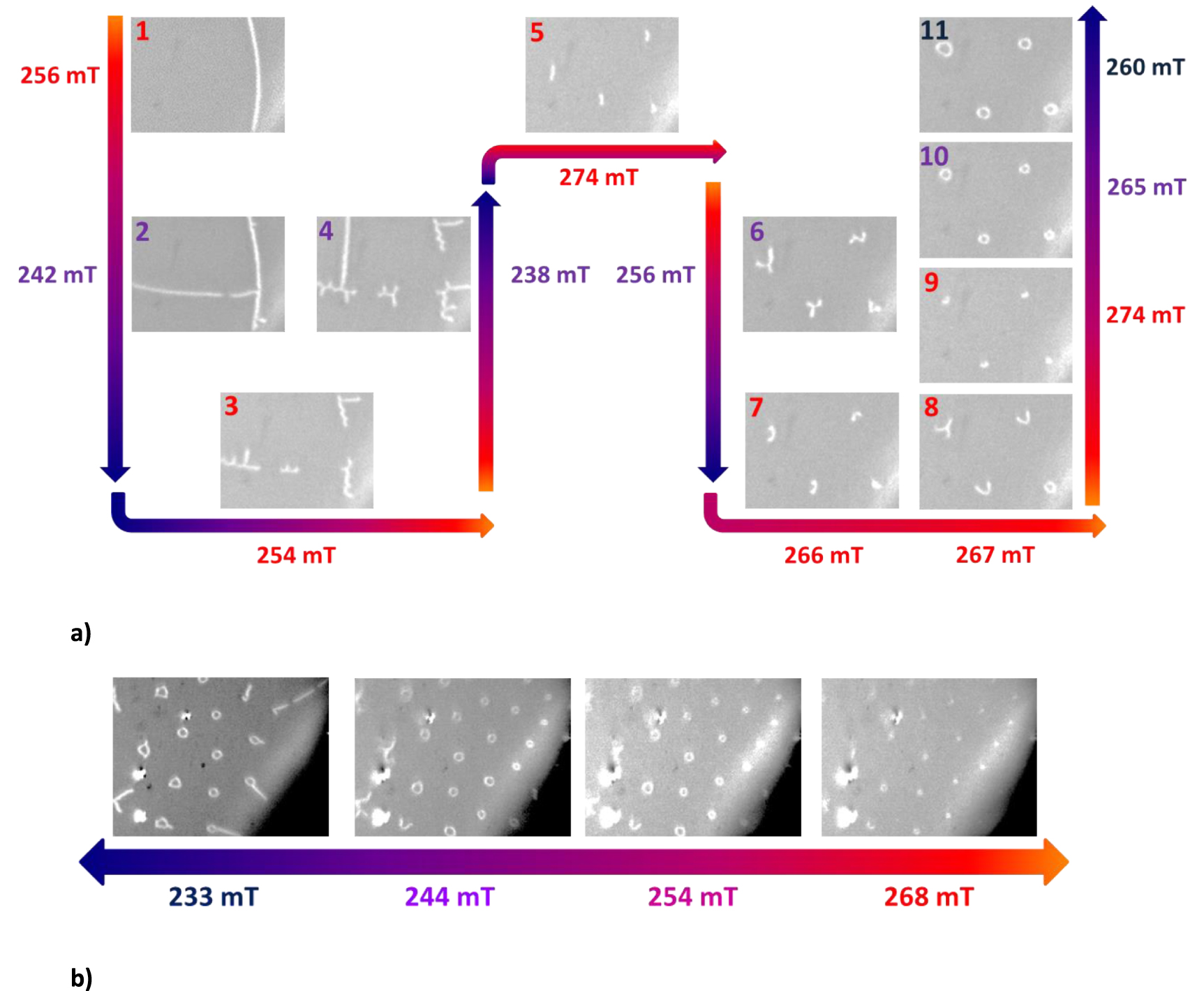 Magnetic field assisted stabilization of circular double wall domain ...