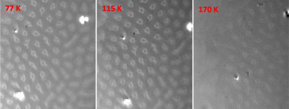 Magnetic field assisted stabilization of circular double wall domain ...