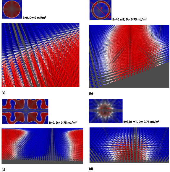 Magnetic field assisted stabilization of circular double wall domain ...