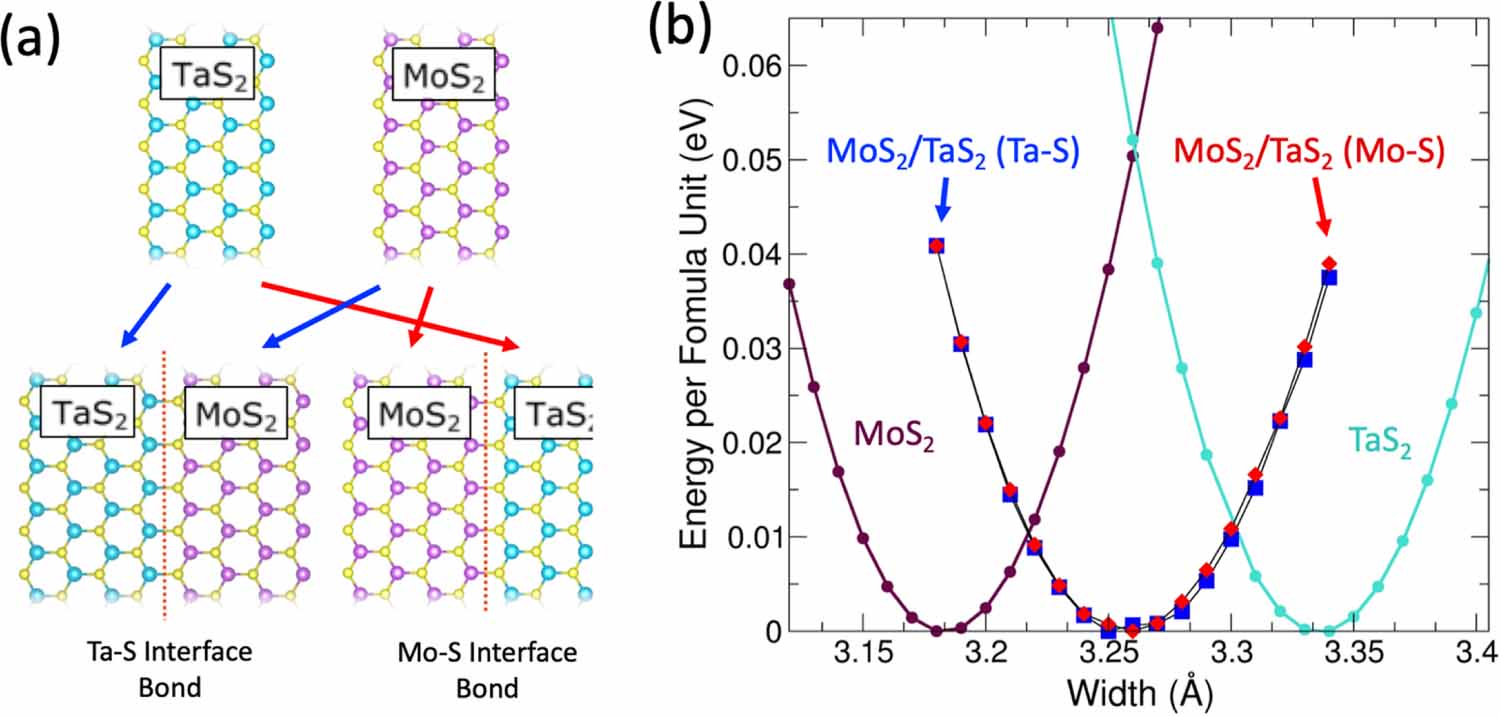 What governs the atomic structure of the interface between 2D ...