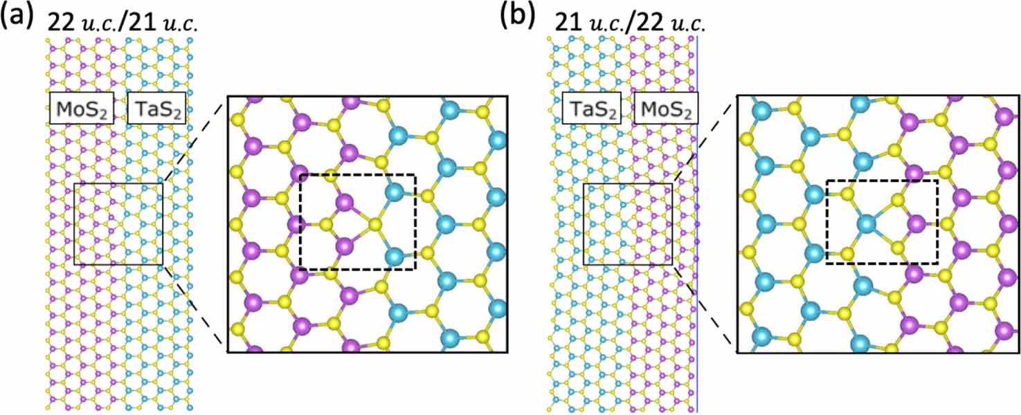 What governs the atomic structure of the interface between 2D transition metal dichalcogenides ...