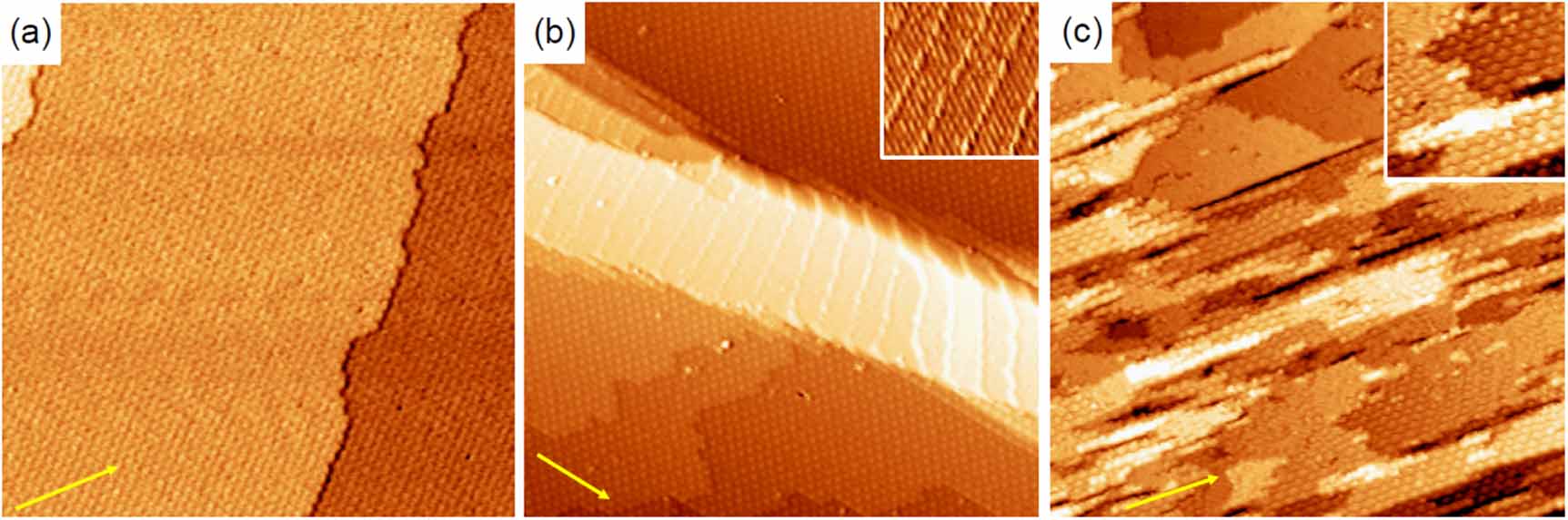 Growth of aligned and twisted hexagonal boron nitride on Ir(110 ...