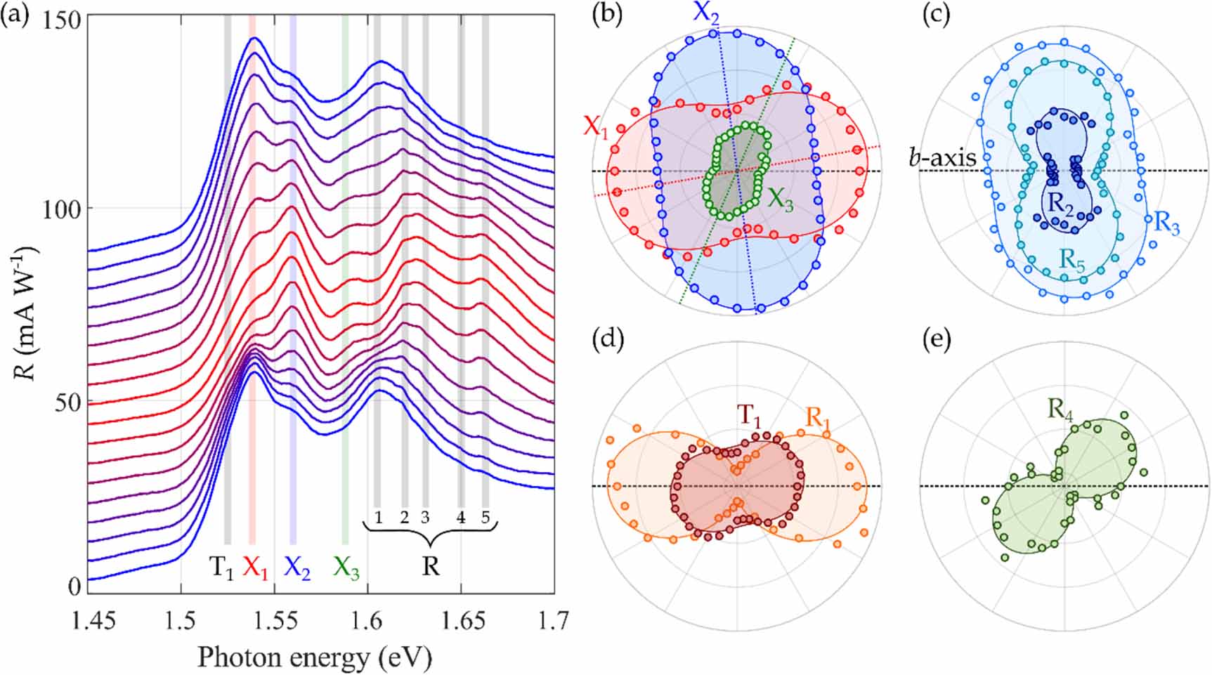 Polarization-tuneable excitonic spectral features in the optoelectronic ...
