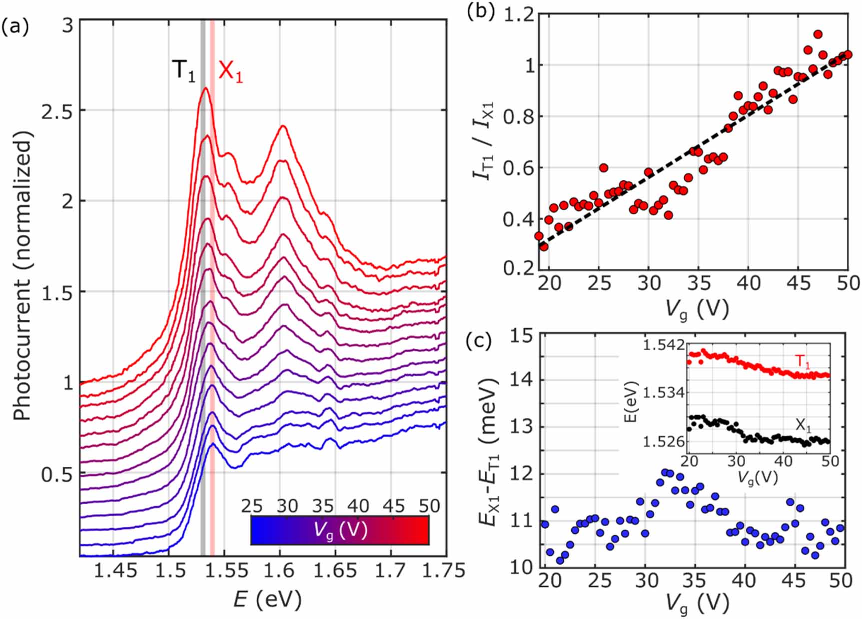 Polarization-tuneable excitonic spectral features in the optoelectronic ...