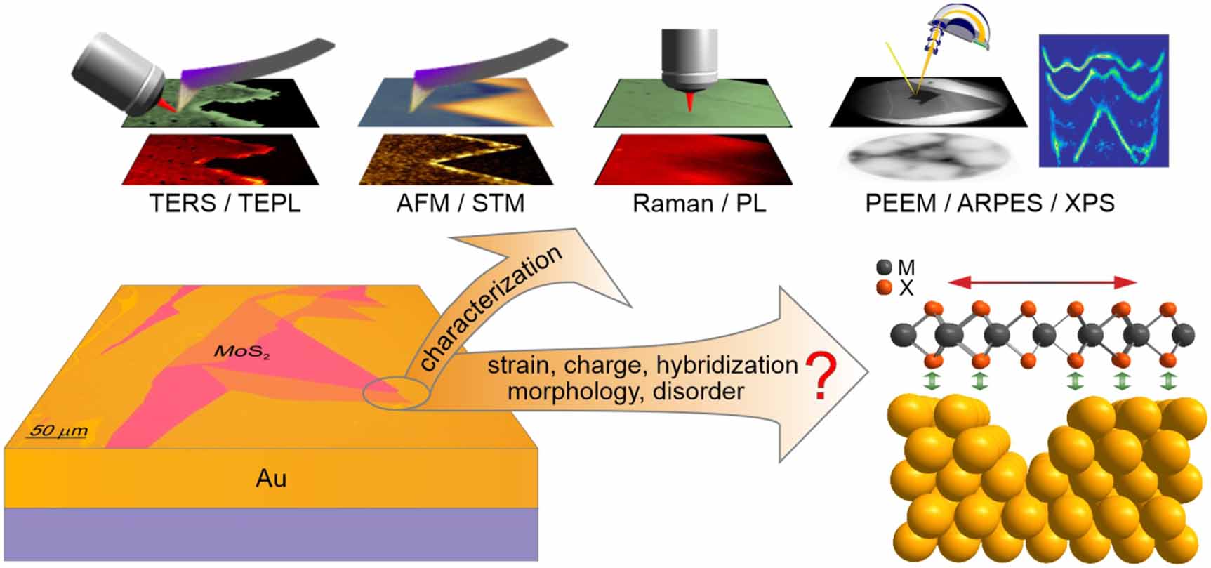 When 2D materials meet metals - IOPscience