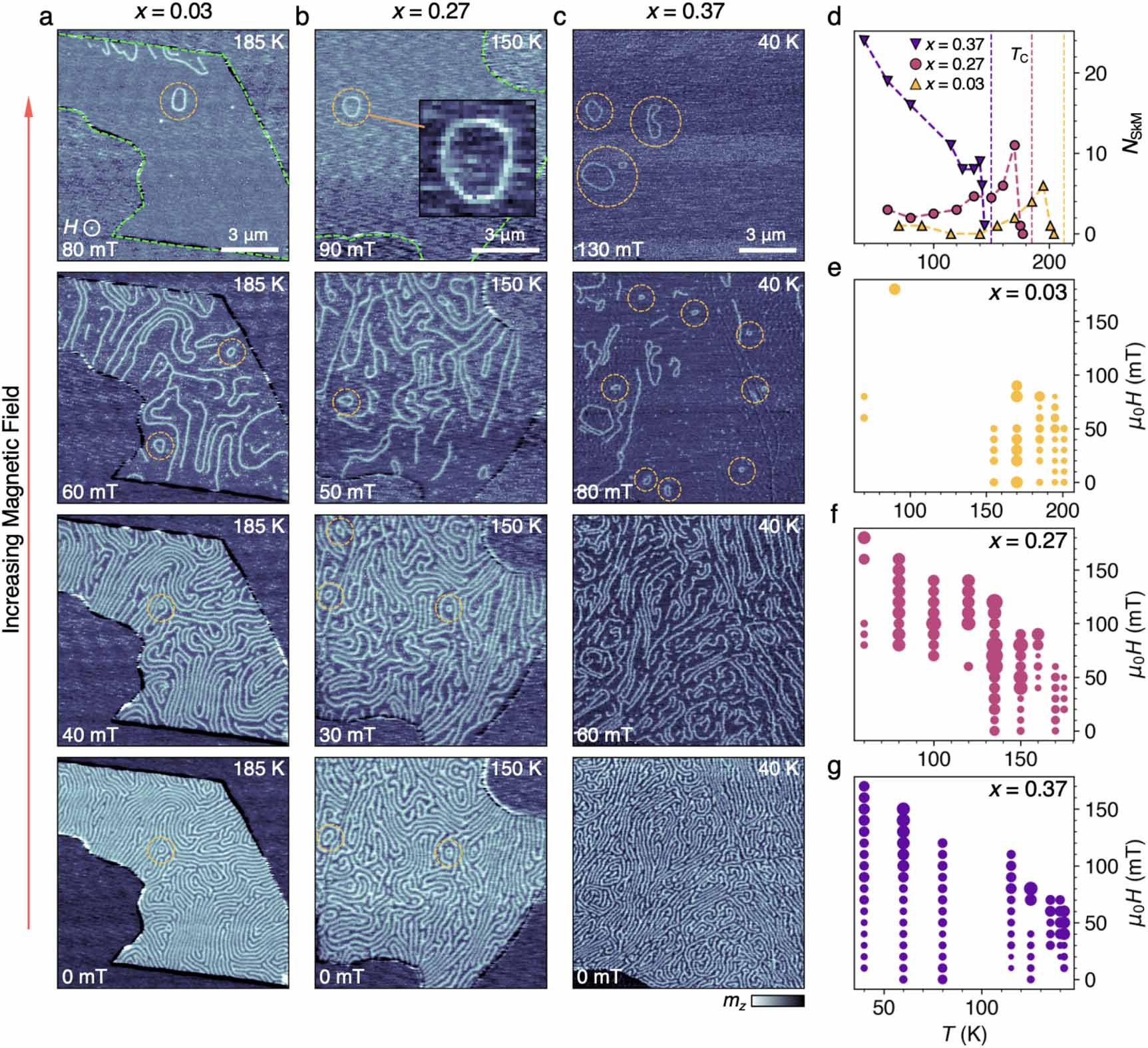 Control of stripe, skyrmion and skyrmionium formation in the 2D magnet ...