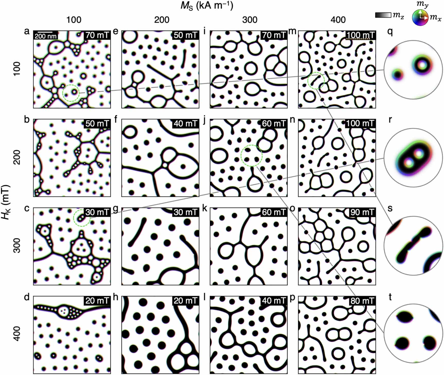 Control of stripe, skyrmion and skyrmionium formation in the 2D magnet ...