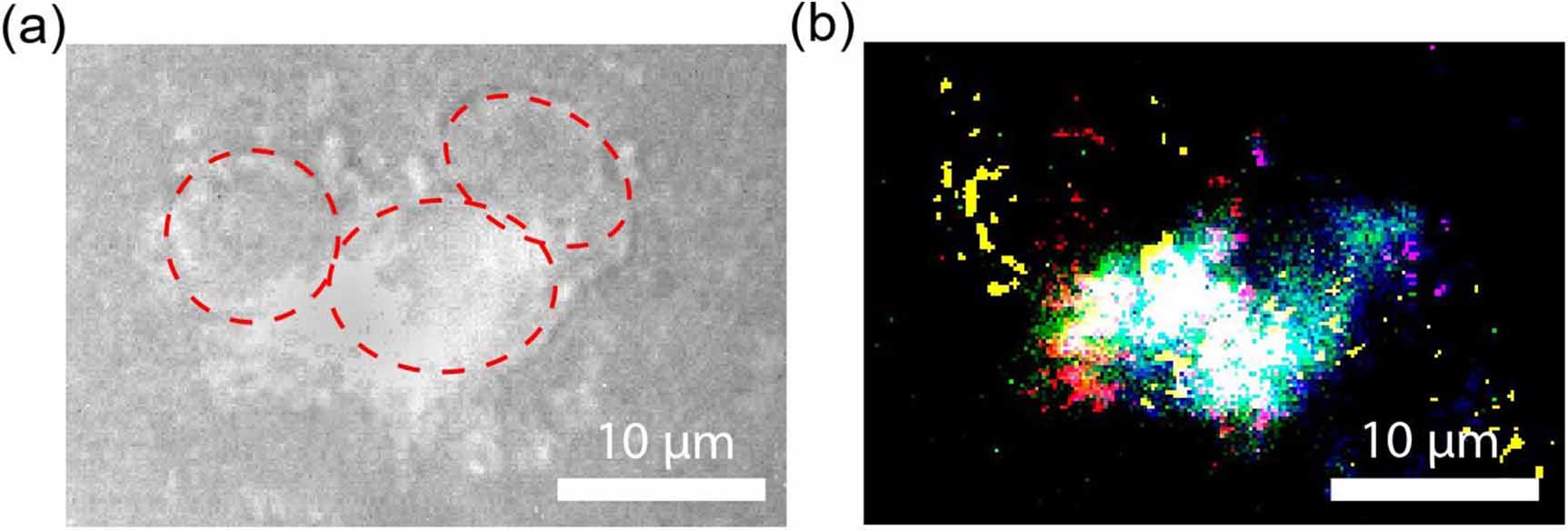 Five near-infrared-emissive graphene quantum dots for multiplex ...