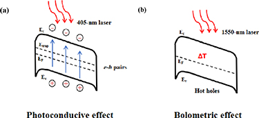High-performance broadband SnS photodetector based on photoconductive ...