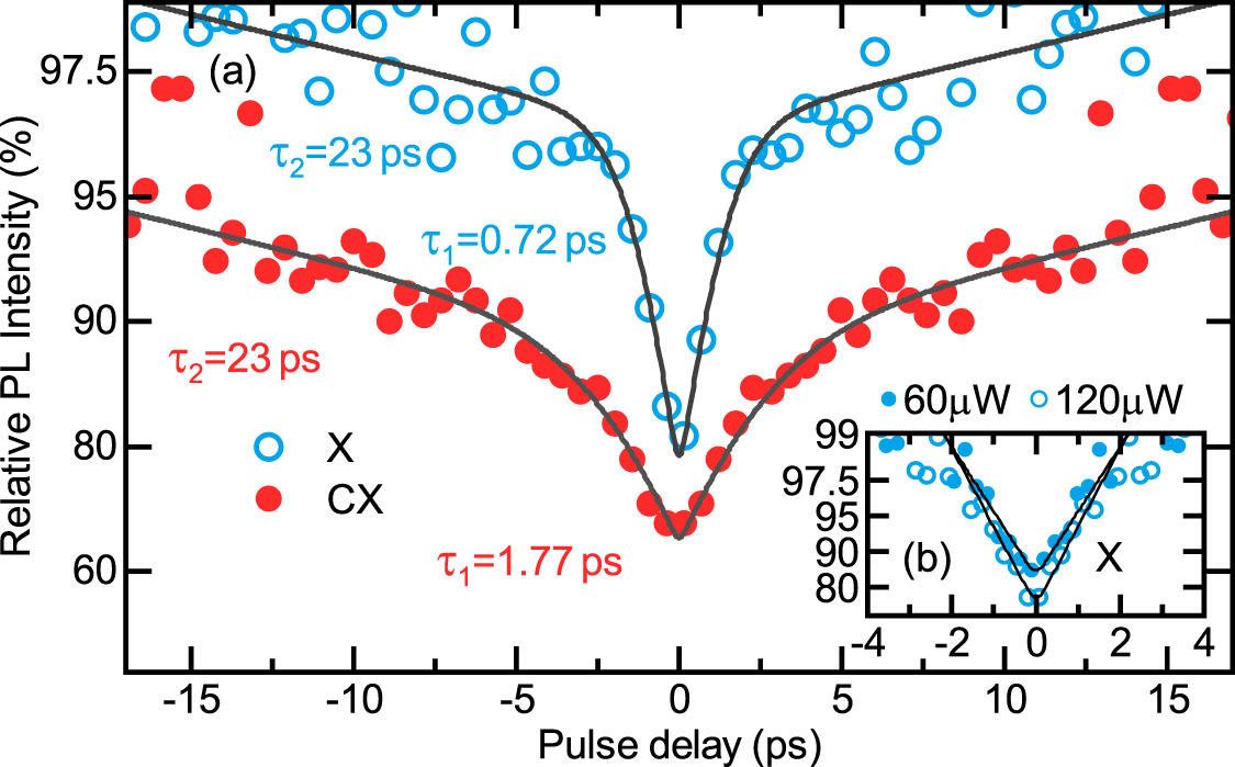 Short excitonic lifetimes of MoSe2 monolayers grown by molecular beam ...