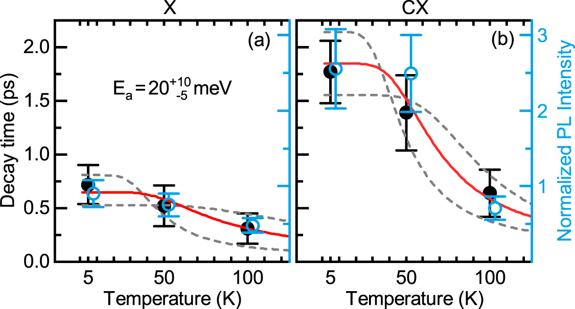 Short excitonic lifetimes of MoSe2 monolayers grown by molecular beam ...