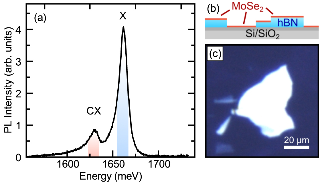 Short excitonic lifetimes of MoSe2 monolayers grown by molecular beam ...