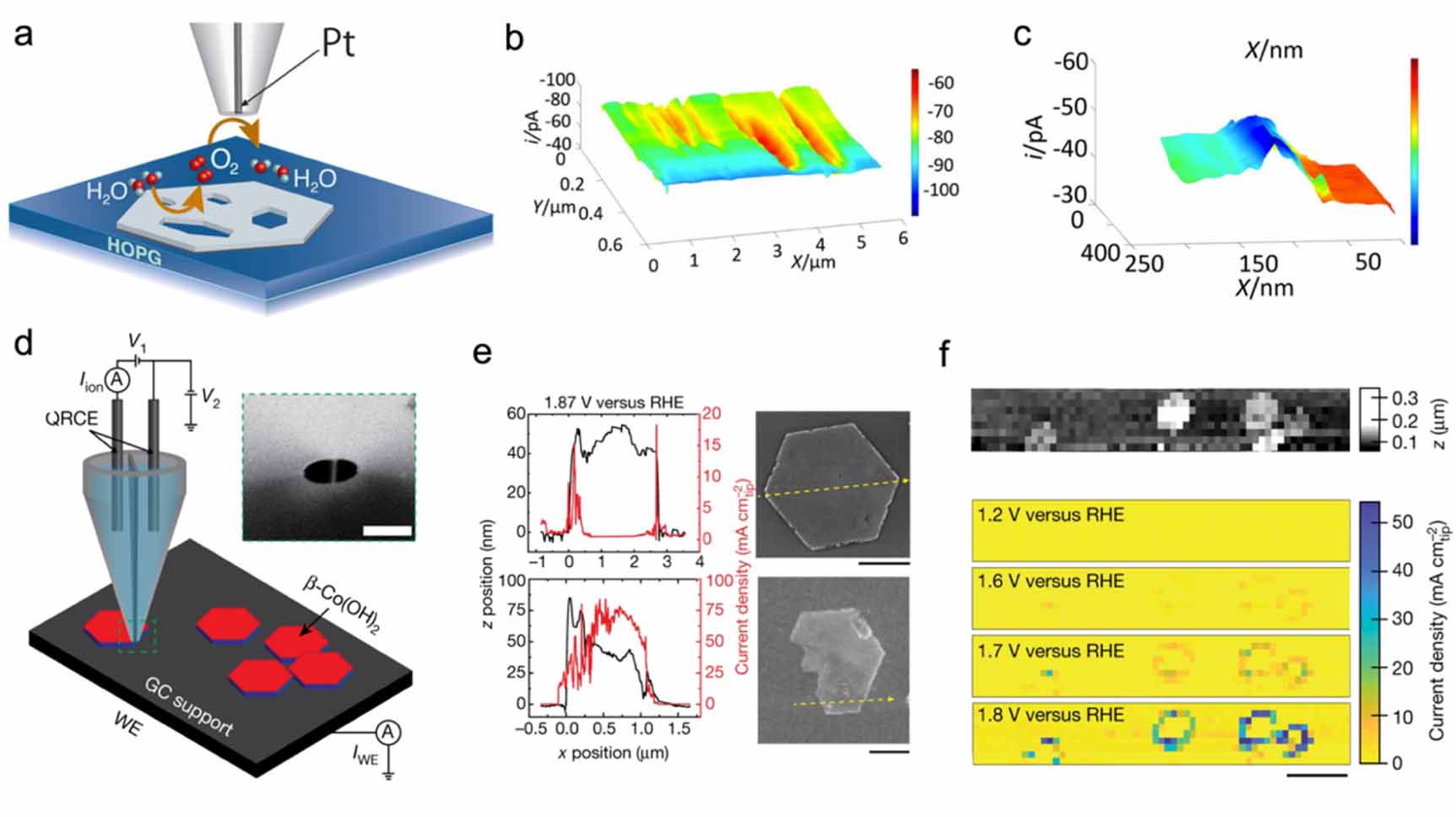 Scanning electrochemical probe microscopy investigation of two ...
