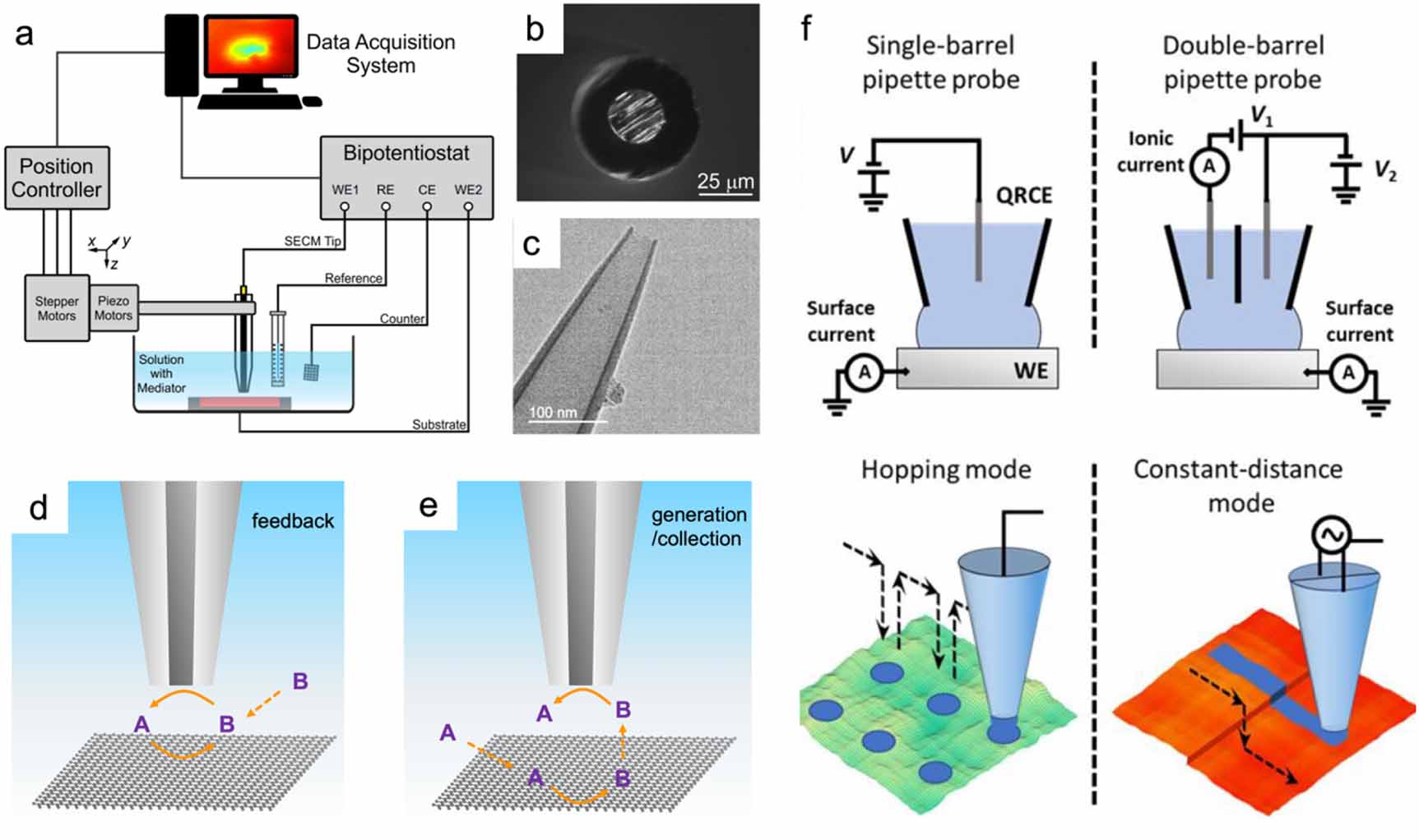 Scanning electrochemical probe microscopy investigation of two ...