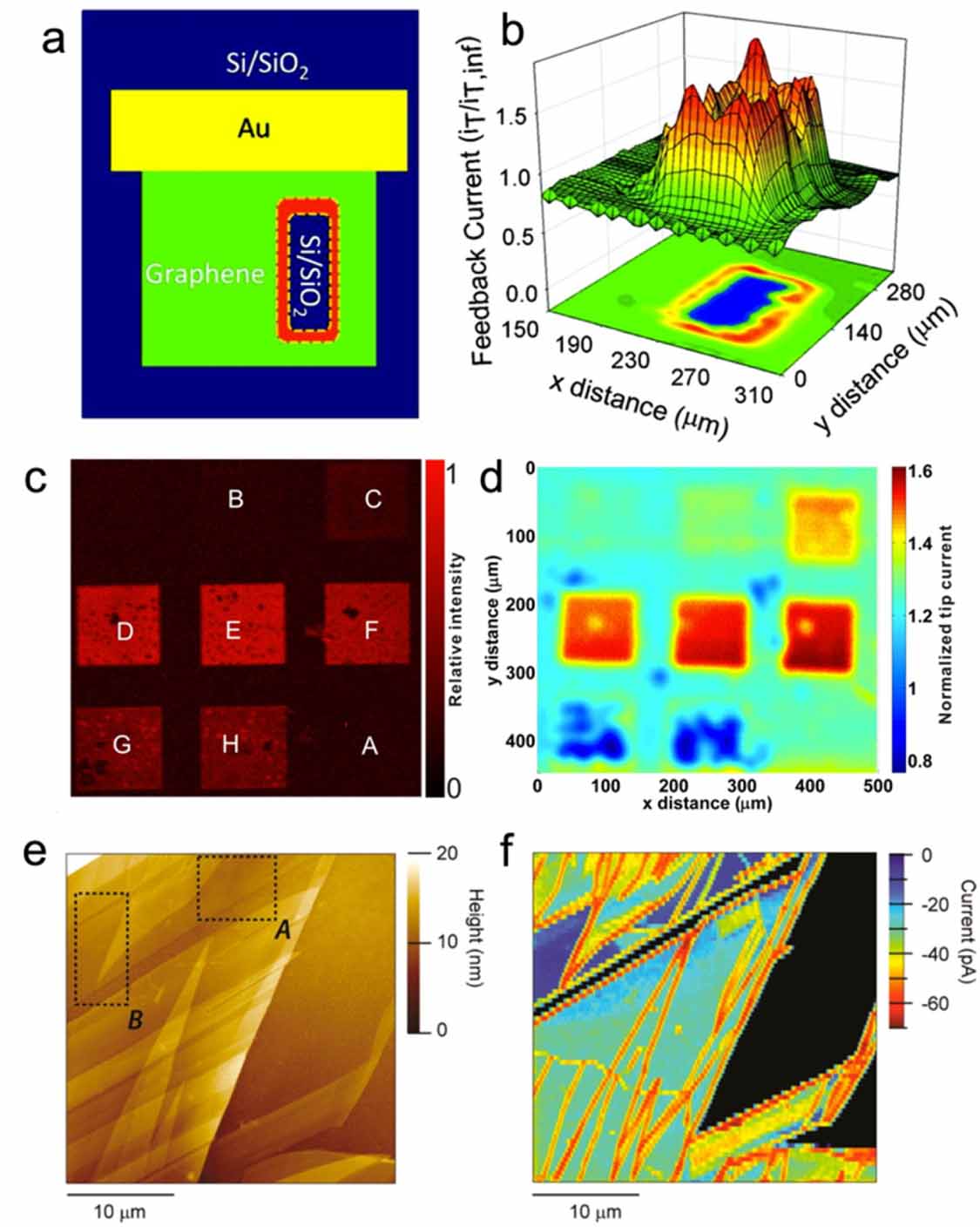 Scanning electrochemical probe microscopy investigation of two ...