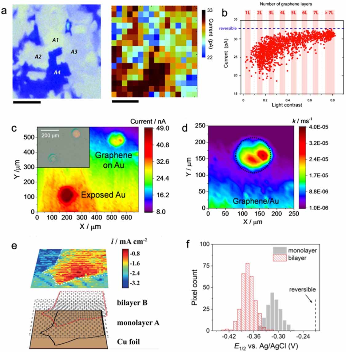 Scanning electrochemical probe microscopy investigation of two ...