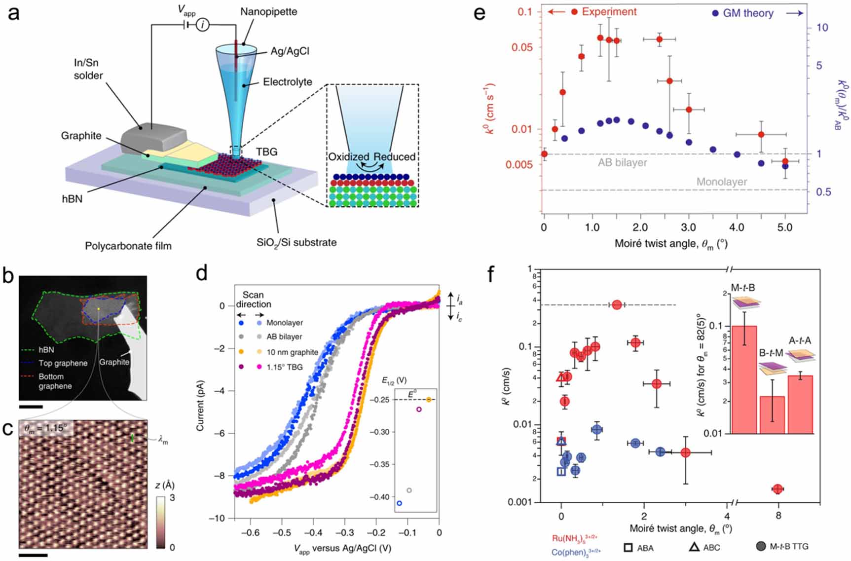 Scanning electrochemical probe microscopy investigation of two ...